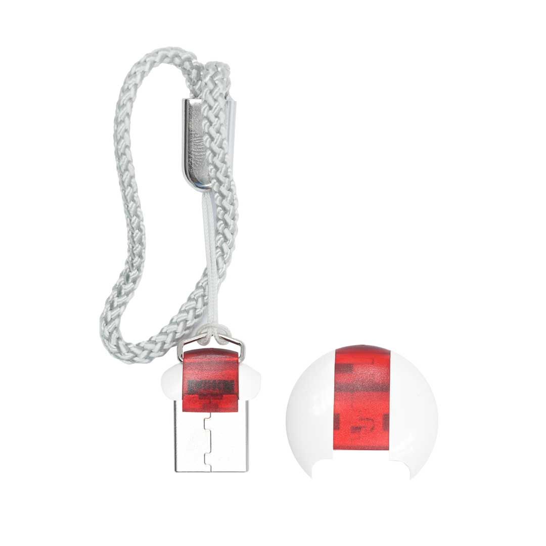 BitSoftware USB Security Dongle